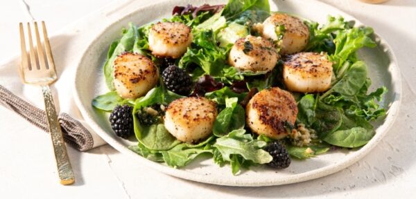 Sea Scallops - Cooke Seafood Australia
